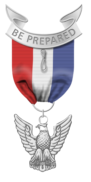 Eagle Scouts - Scouting America Coastal Georgia Council